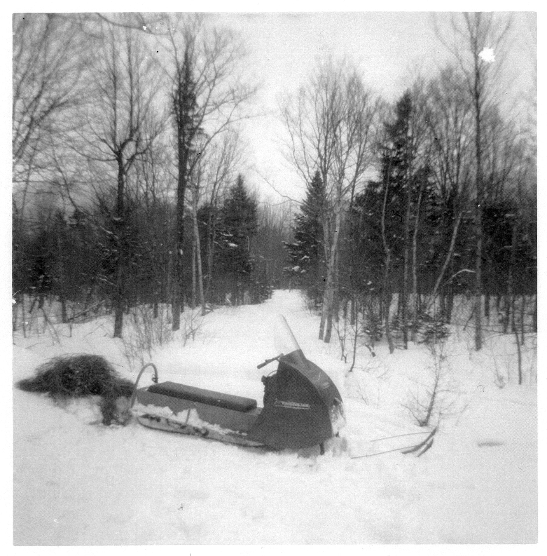 History | Crane's Snowmobile Museum